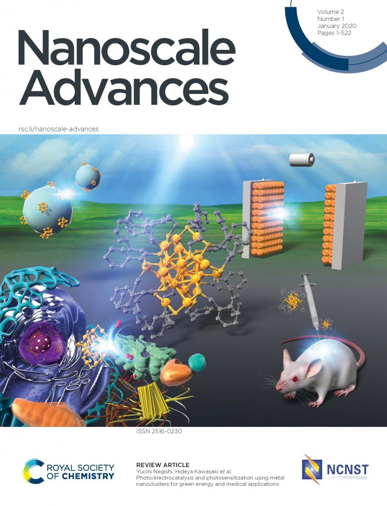 Nanoscale Adv.誌 Front Cover – 界面化学研究室
