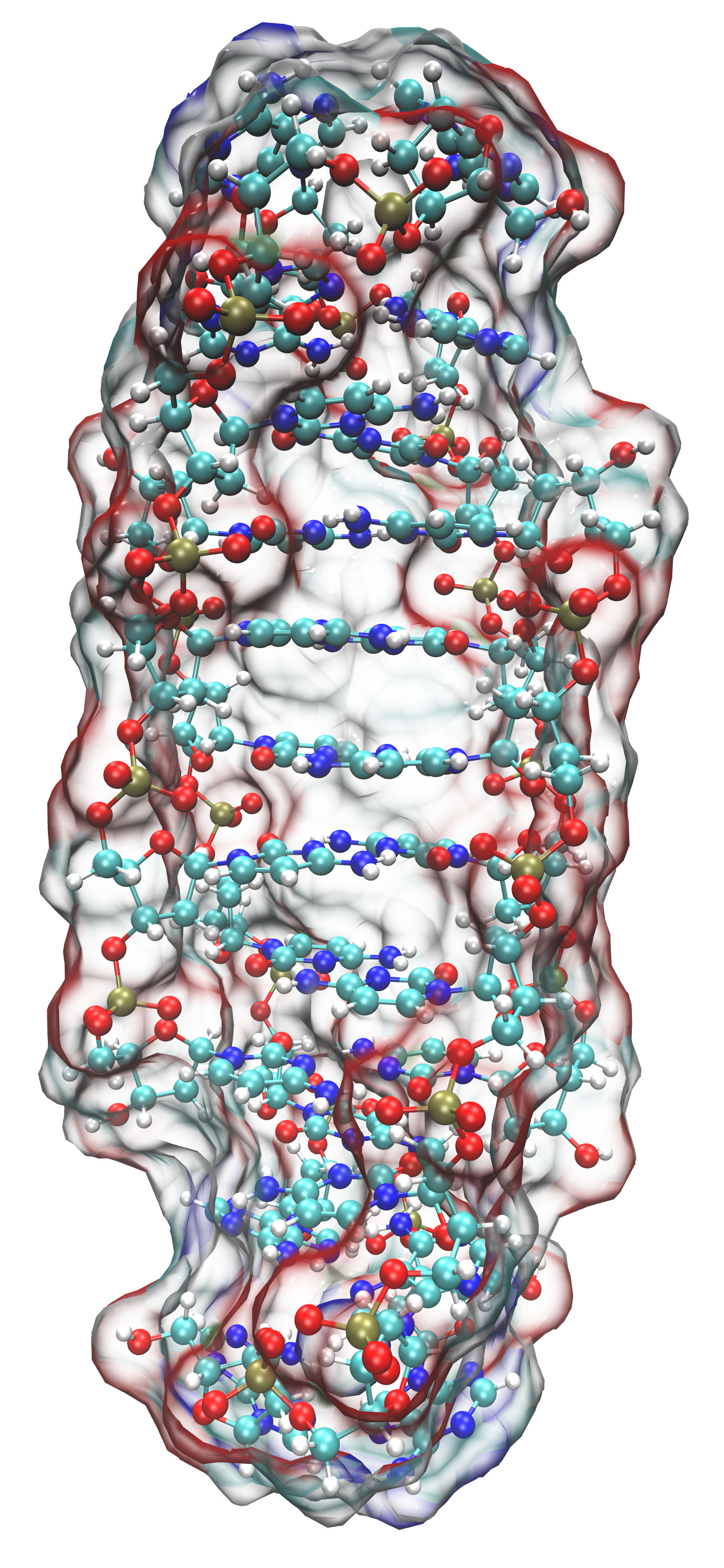 DNAをつかう〜バイオテクノロジーと医用工学〜 – 関西大学 化学生命工学部 知能分子学研究室