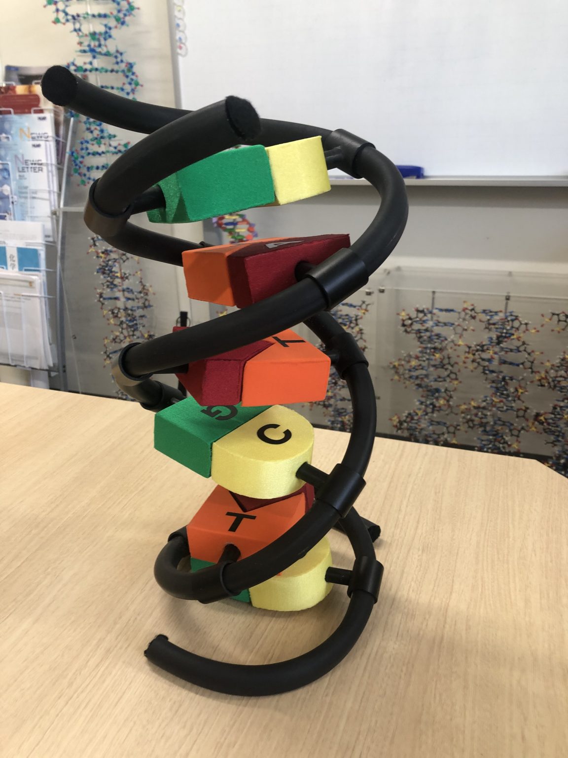 NHK国際放送「Science View」 – 関西大学 化学生命工学部 知能分子学研究室